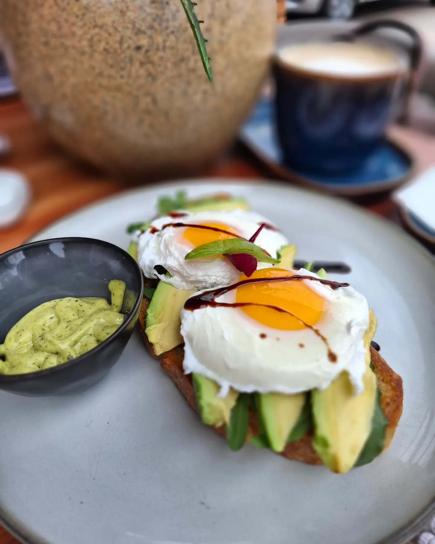 Blue Fig Coffee Café