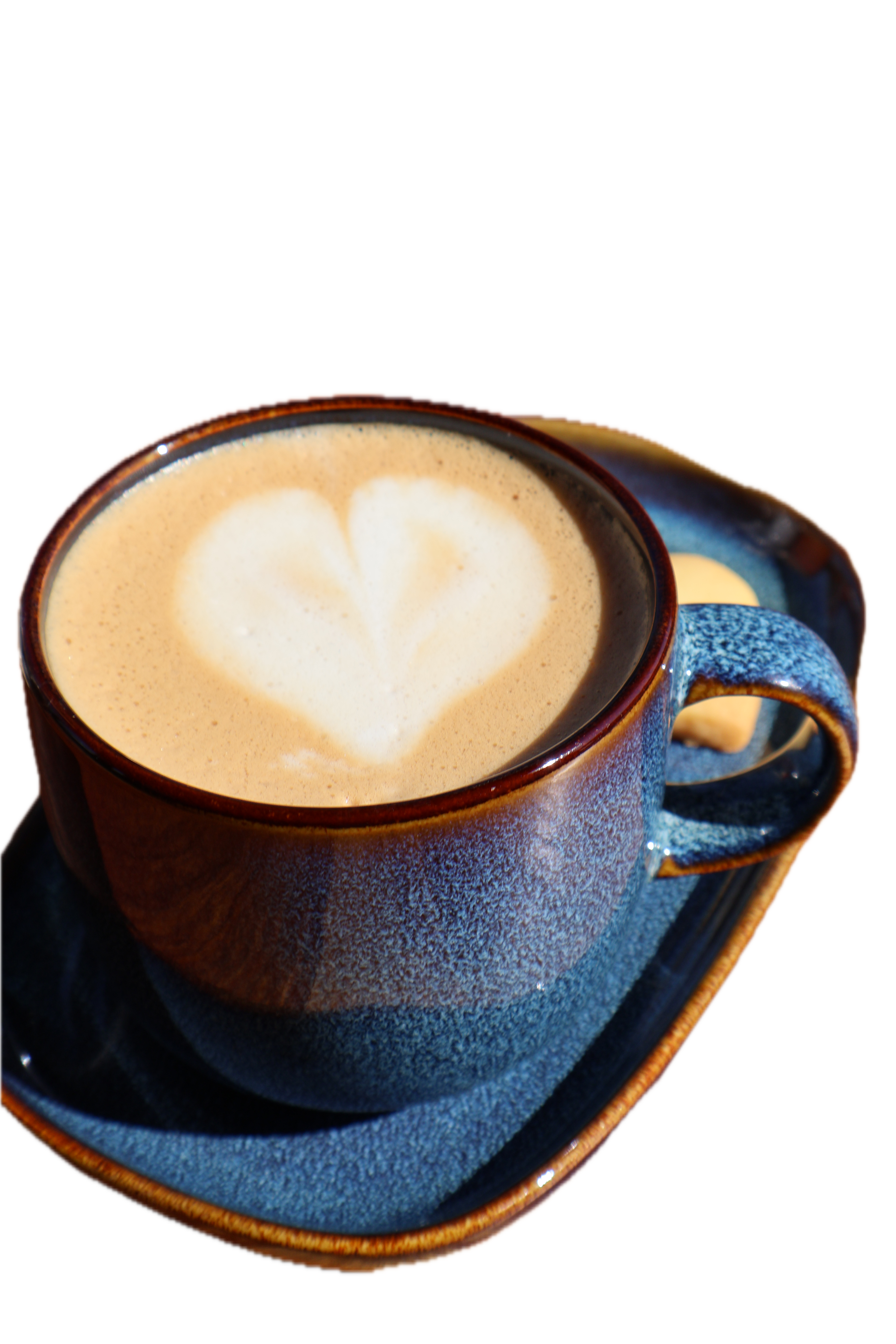 Blue Fig Coffee Café