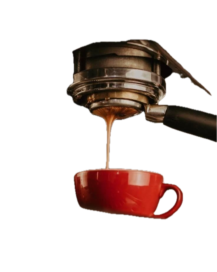 Blue Fig Coffee Café